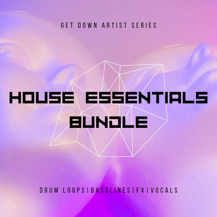 LIMITED STORE EXCLUSIVE | Get Down Artist Series: House Essentials Bun – Glitchedtones